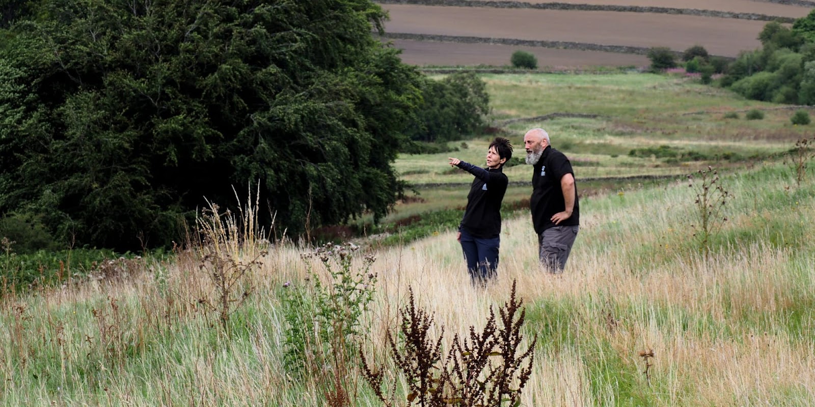 The Sheffield and Rotherham Wildlife Trust battles to protect nature ... The Sheffield and Rotherham Wildlife Trust battles to protect nature ...